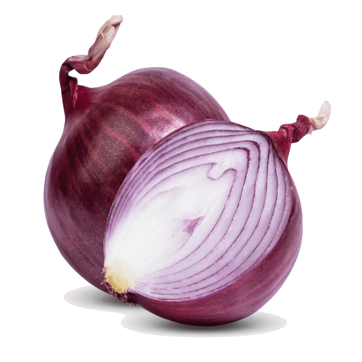 TUT Produce